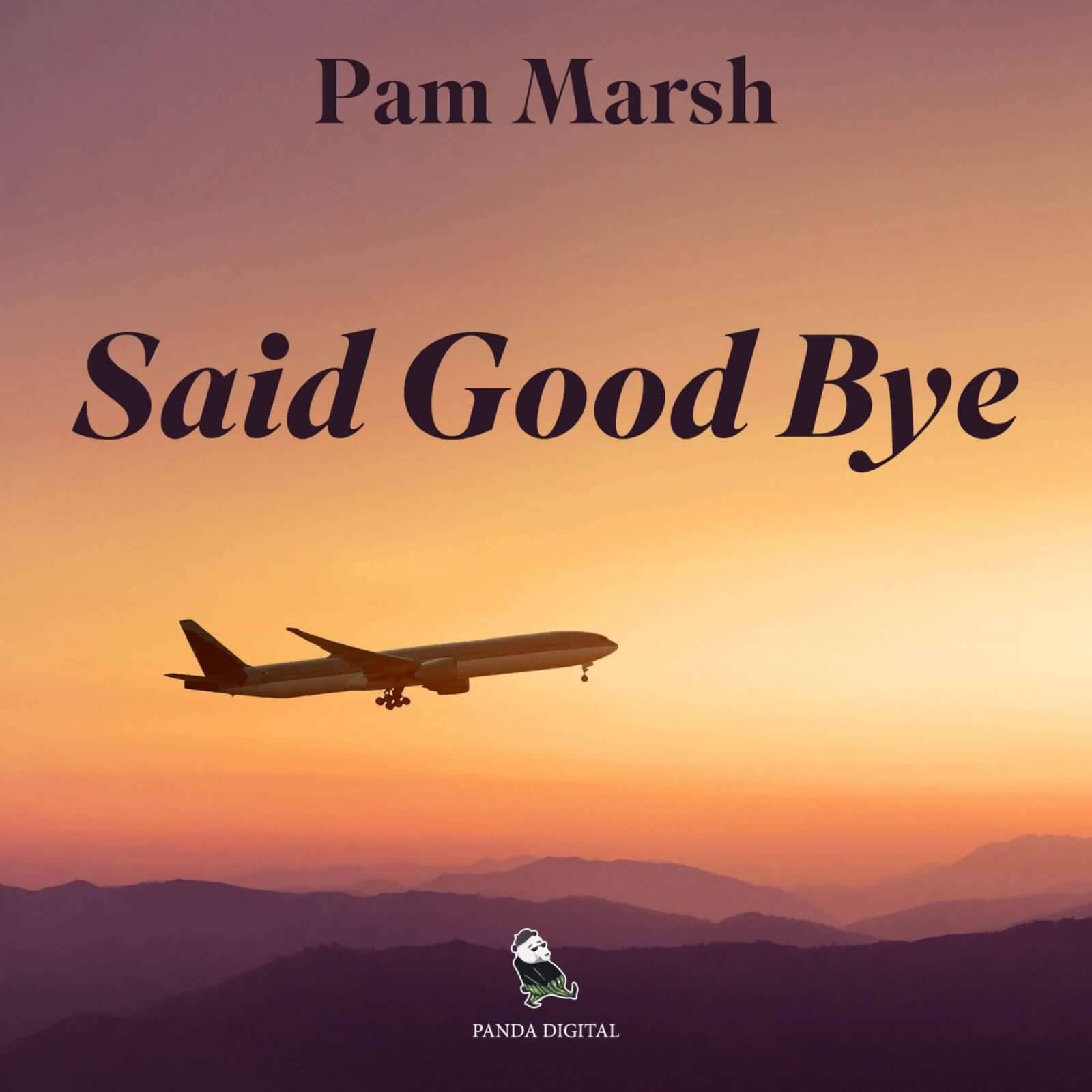 Said Good Bye - The Buzz
