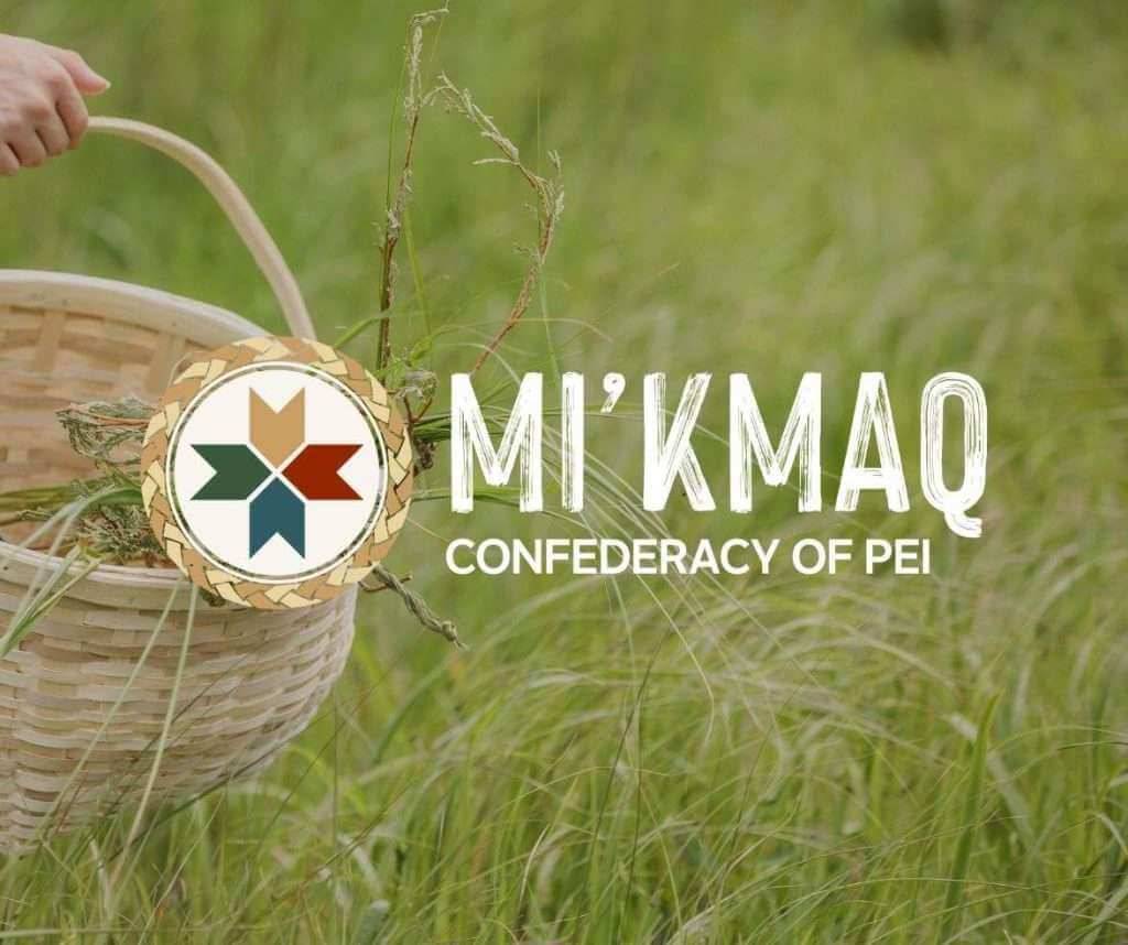 Mi’kmaq heritage - The Buzz