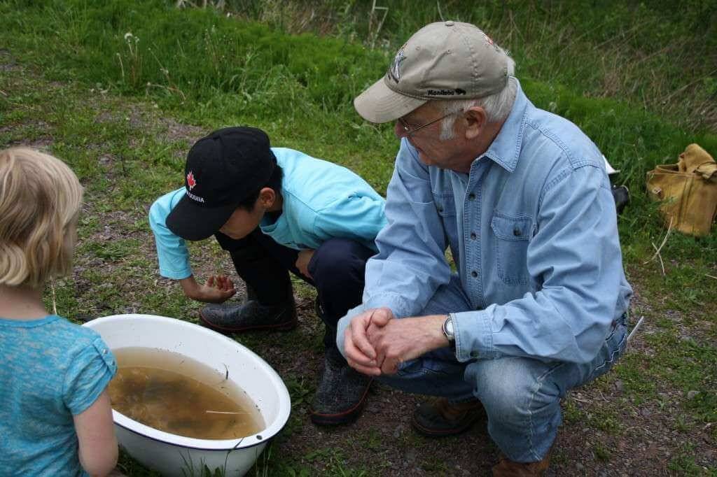 How Healthy Forests Function Workshop with Bob Bancroft - The Buzz