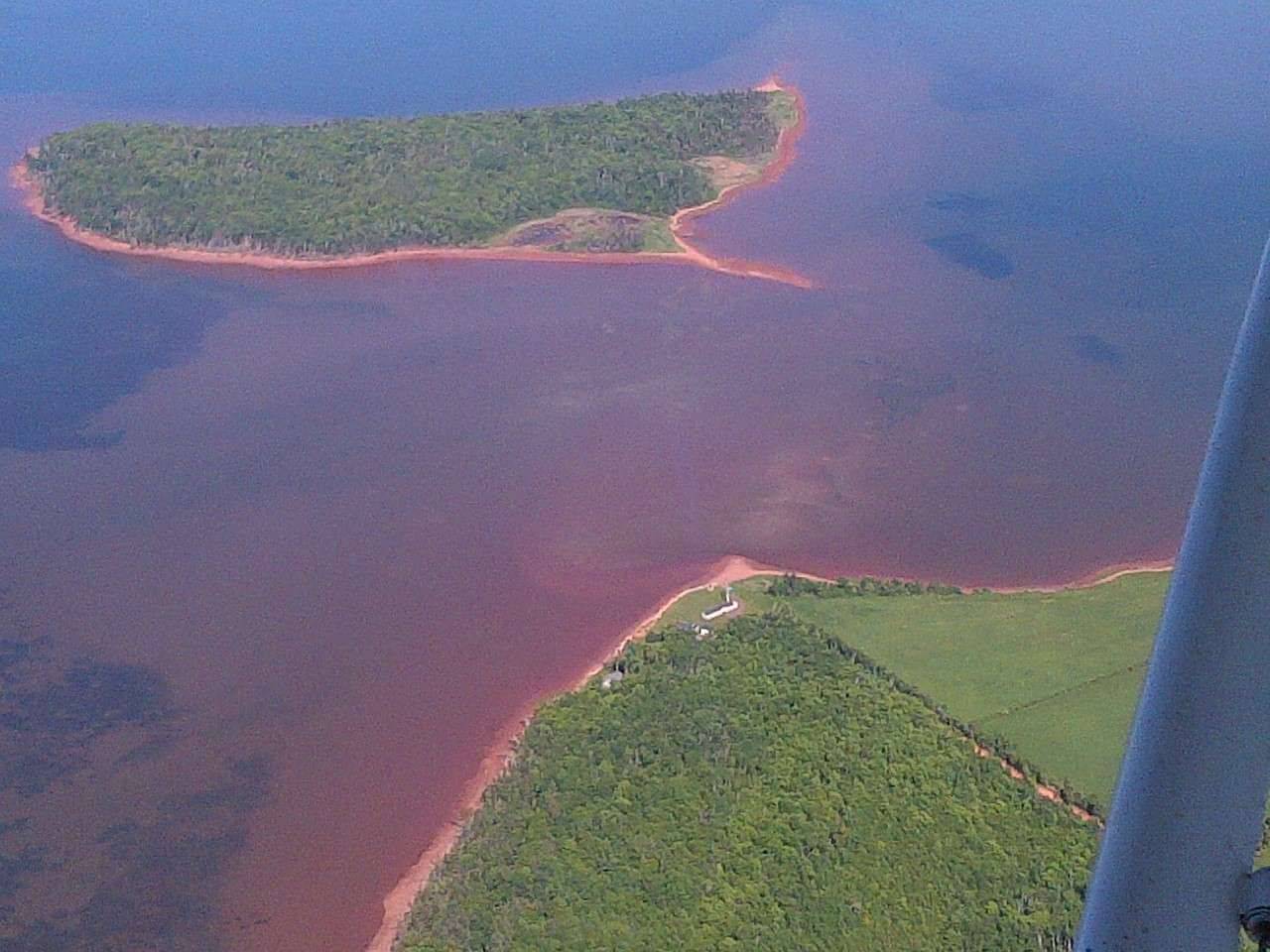 Holman Island Guided Walking Tour - The Buzz