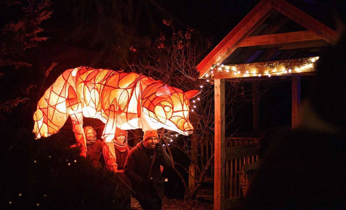 The Solstice Walk - The Buzz