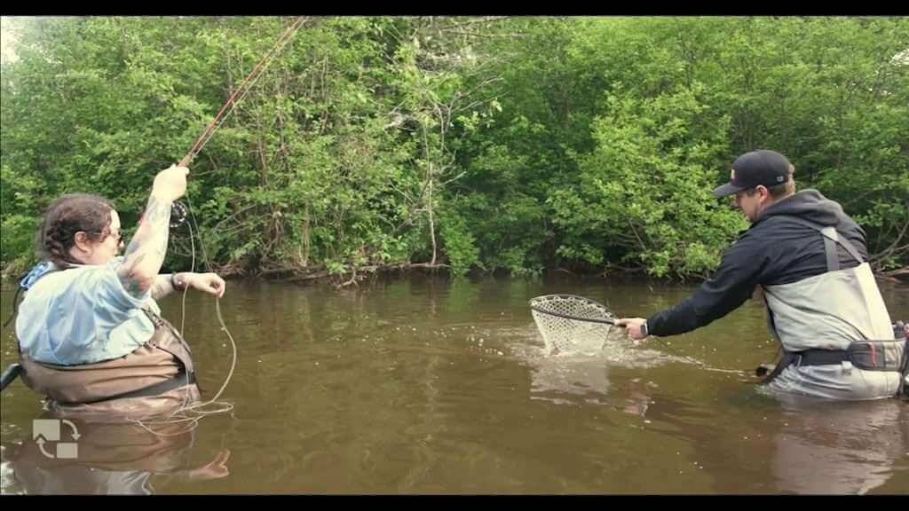 Here Fishy, Fishy - The Buzz