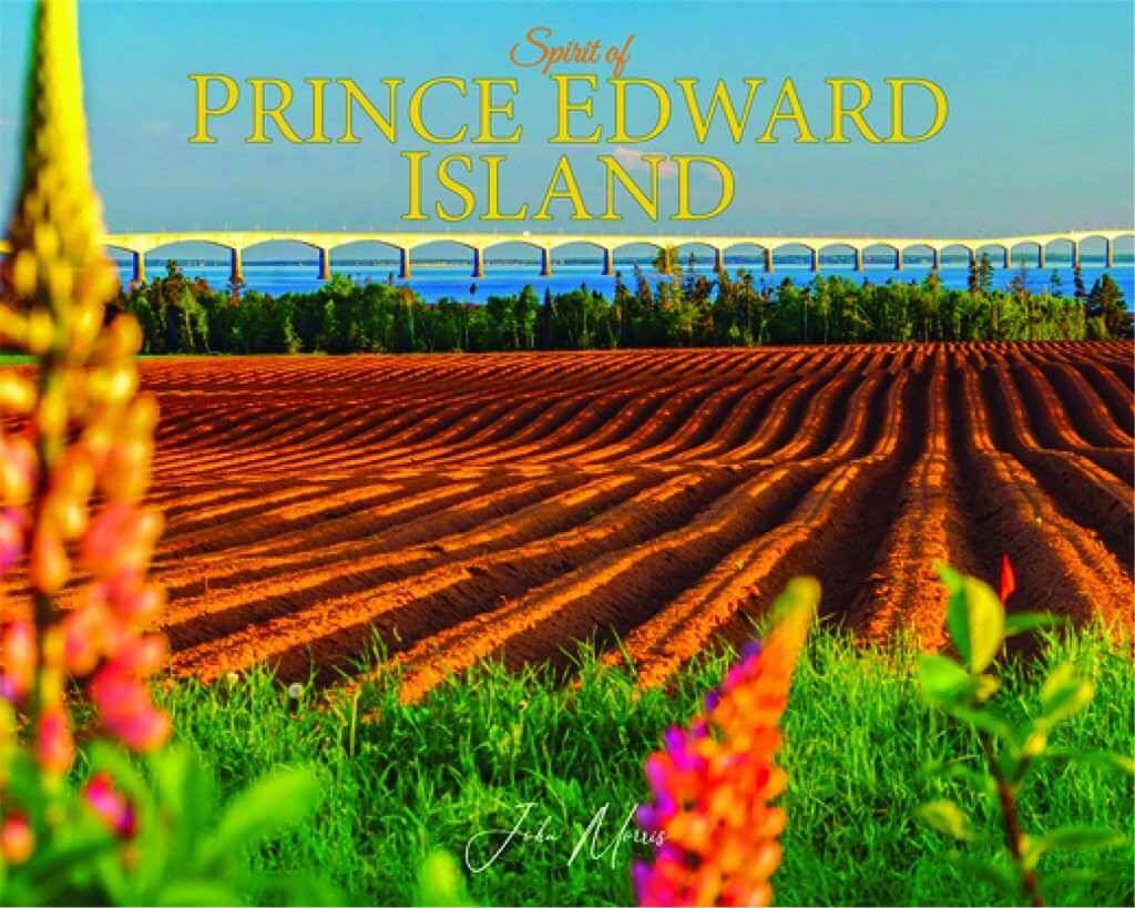 Spirit of PEI - The Buzz