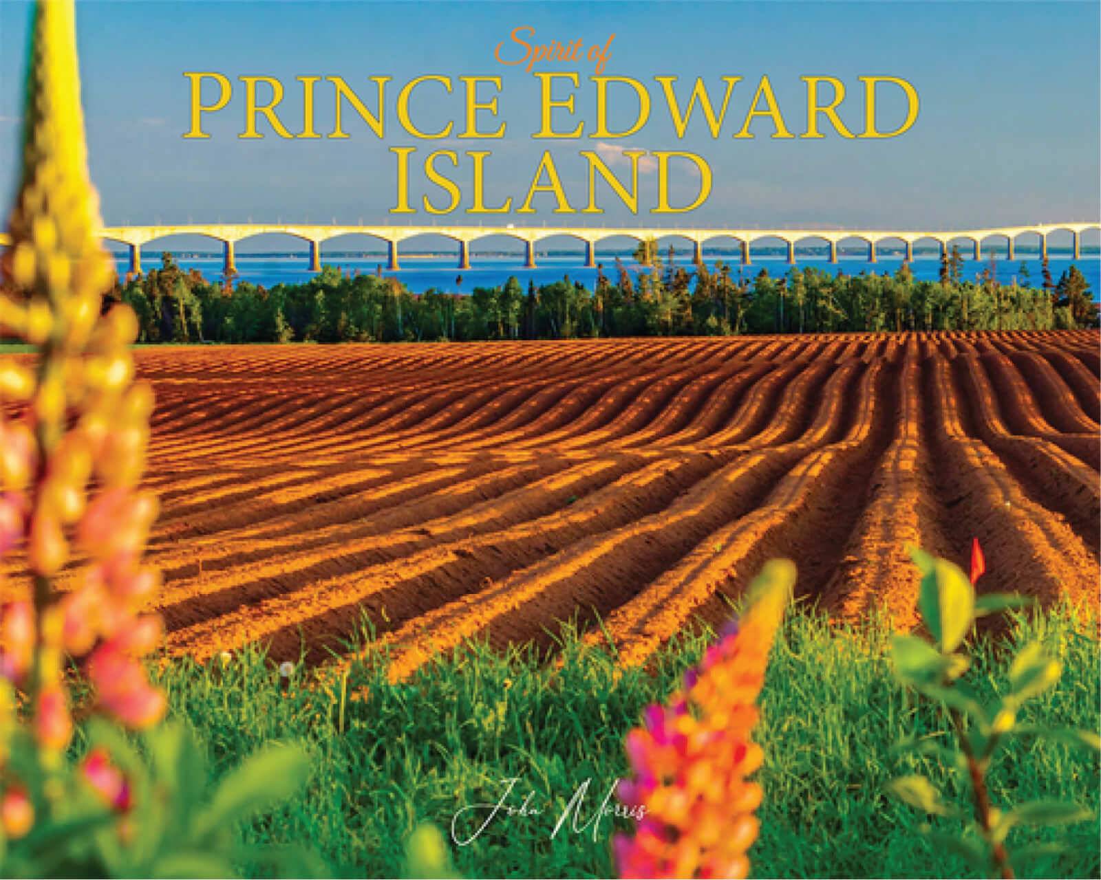 Spirit of PEI - The Buzz